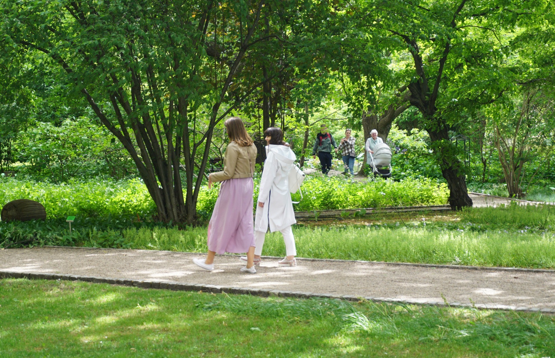 Global Mentoring Walk 2022 We Wrocławiu