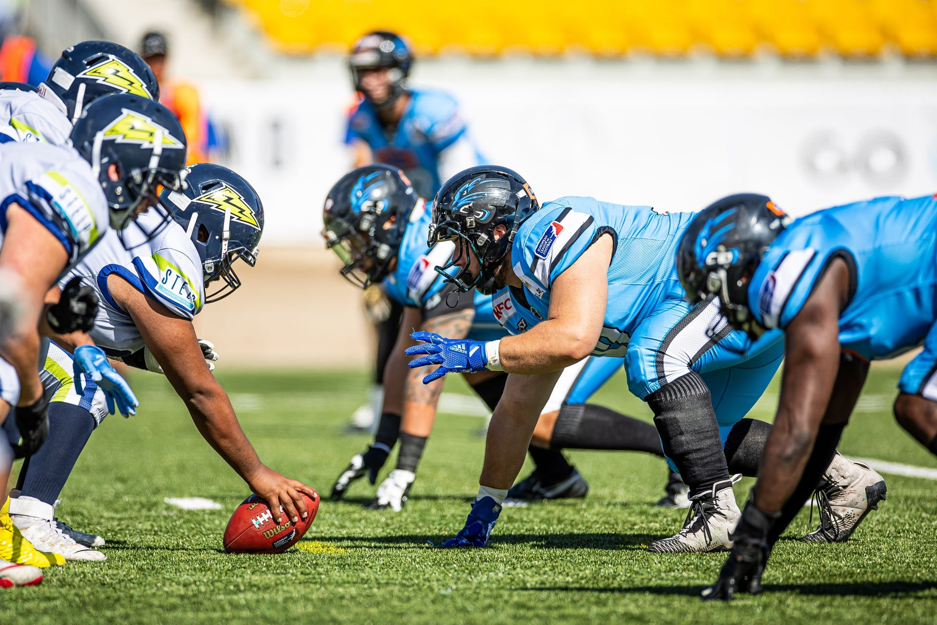 Panthers Wrocław przerwali serię porażek. Efektowne zwycięstwo przed ... Panthers Wrocław przerwali serię porażek. Efektowne zwycięstwo przed ...