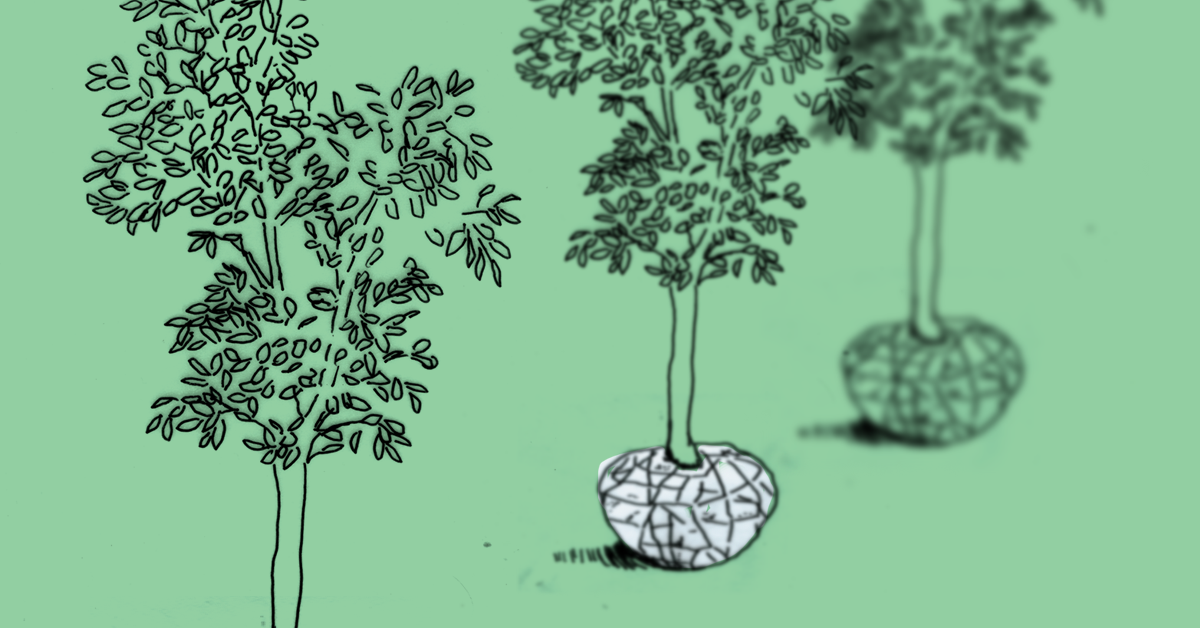 Jaka będzie aleja Północna?