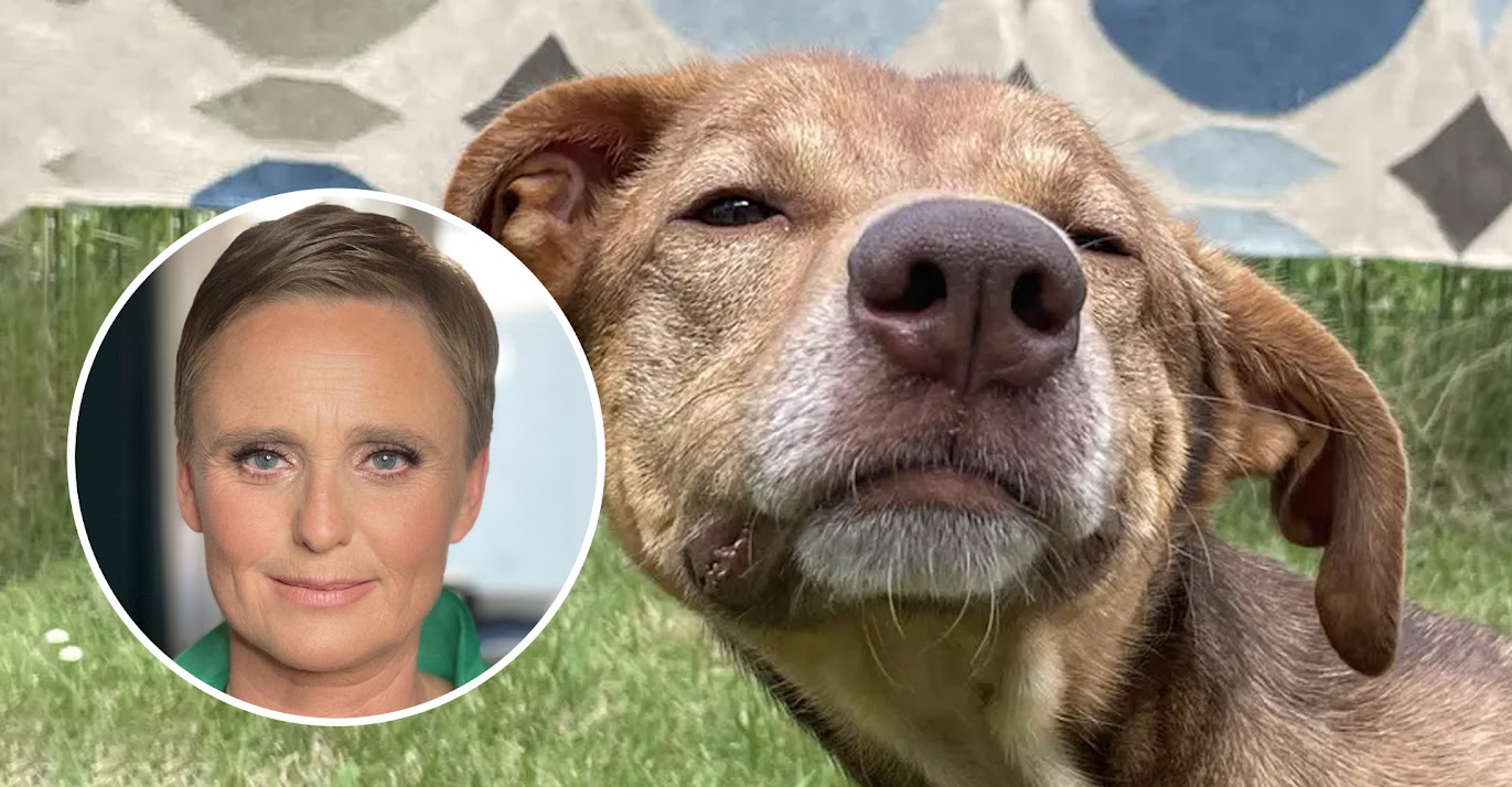 „Heroy kocha nas na zabój”. Kinga Preis o roku z psem przywiezionym z ...