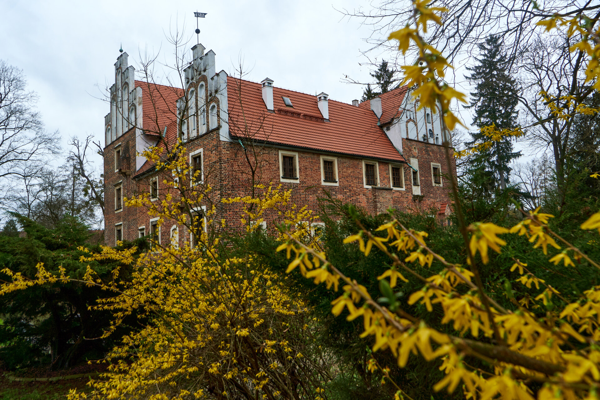 Zamek na wodzie, czyli Zamek Wojnowice na zdjęciach