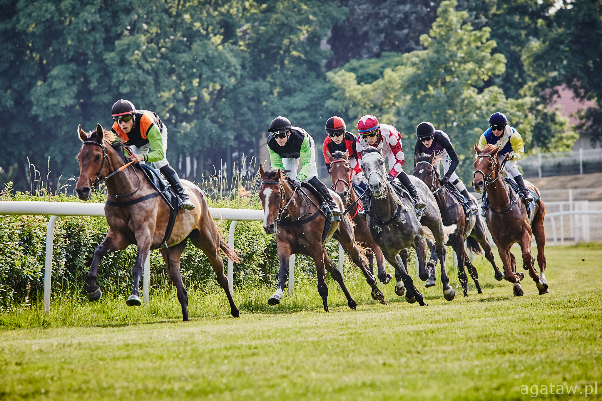 Po przerwie wyścigi konne wracają na Partynice!