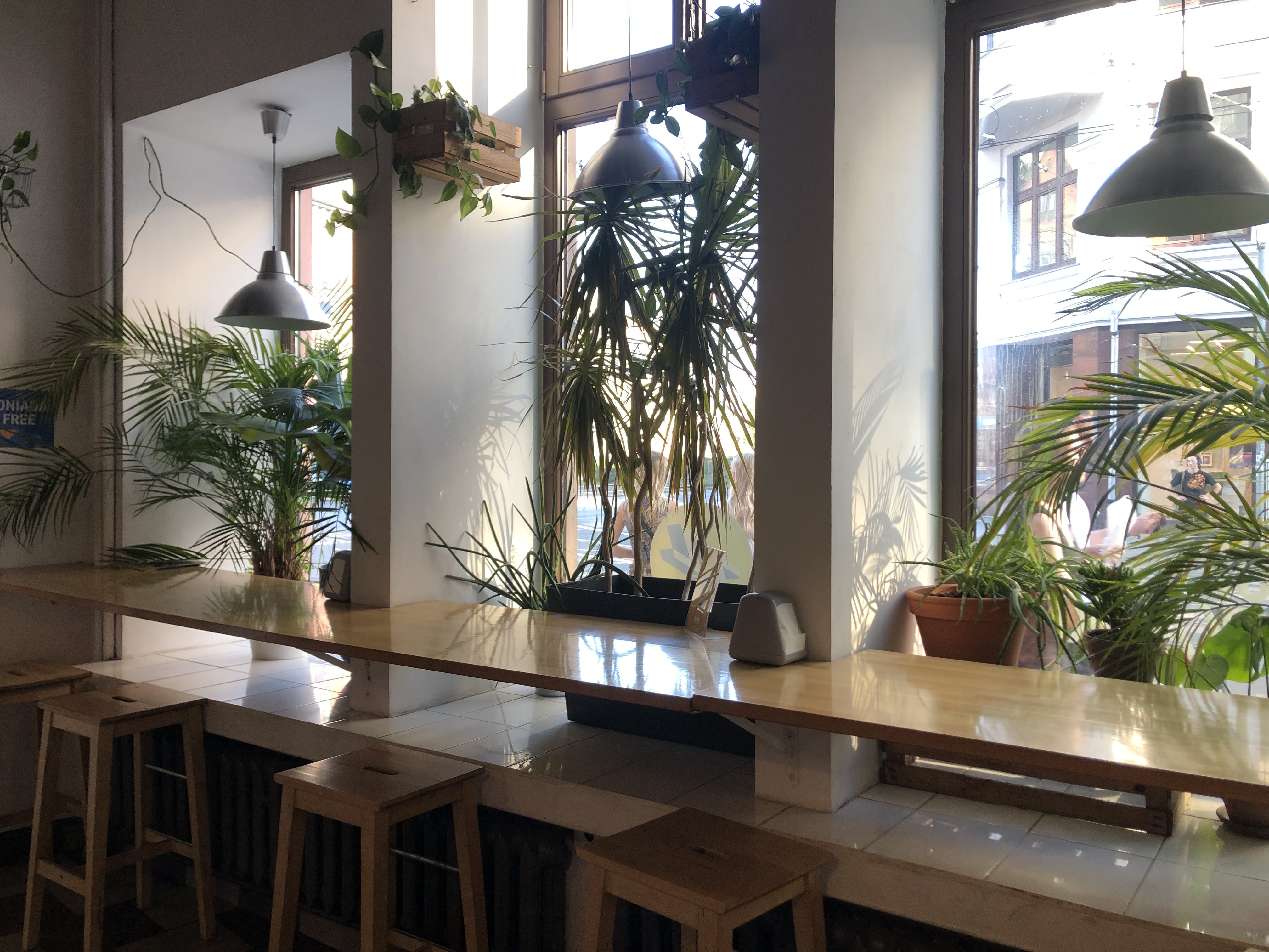 TOP 7. Tu zjesz pyszne tosty i zapiekanki we Wrocławiu (ADRESY)