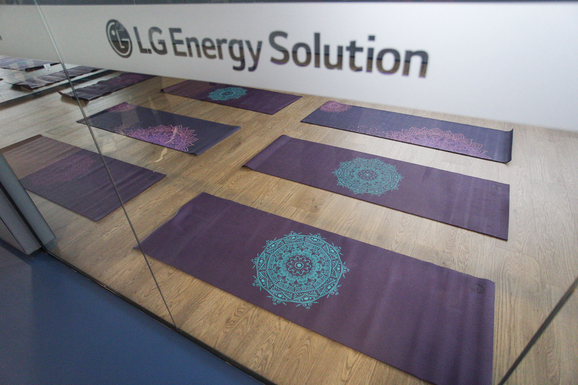 Jak się pracuje w LG pod Wrocławiem? Odwiedziliśmy gigantyczną fabrykę