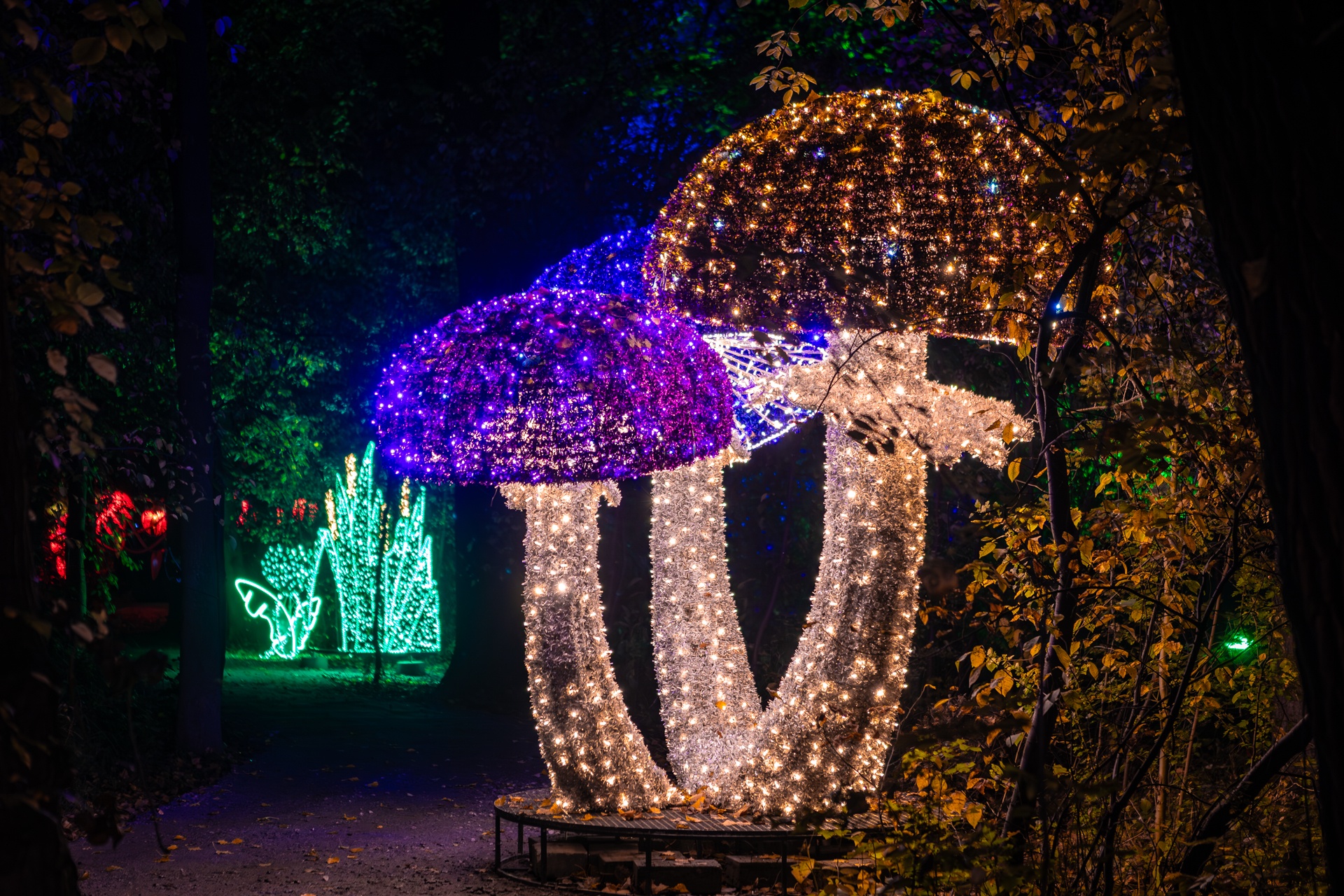 Lumina Park w Zamku Topacz. Kiedy otwarcie?
