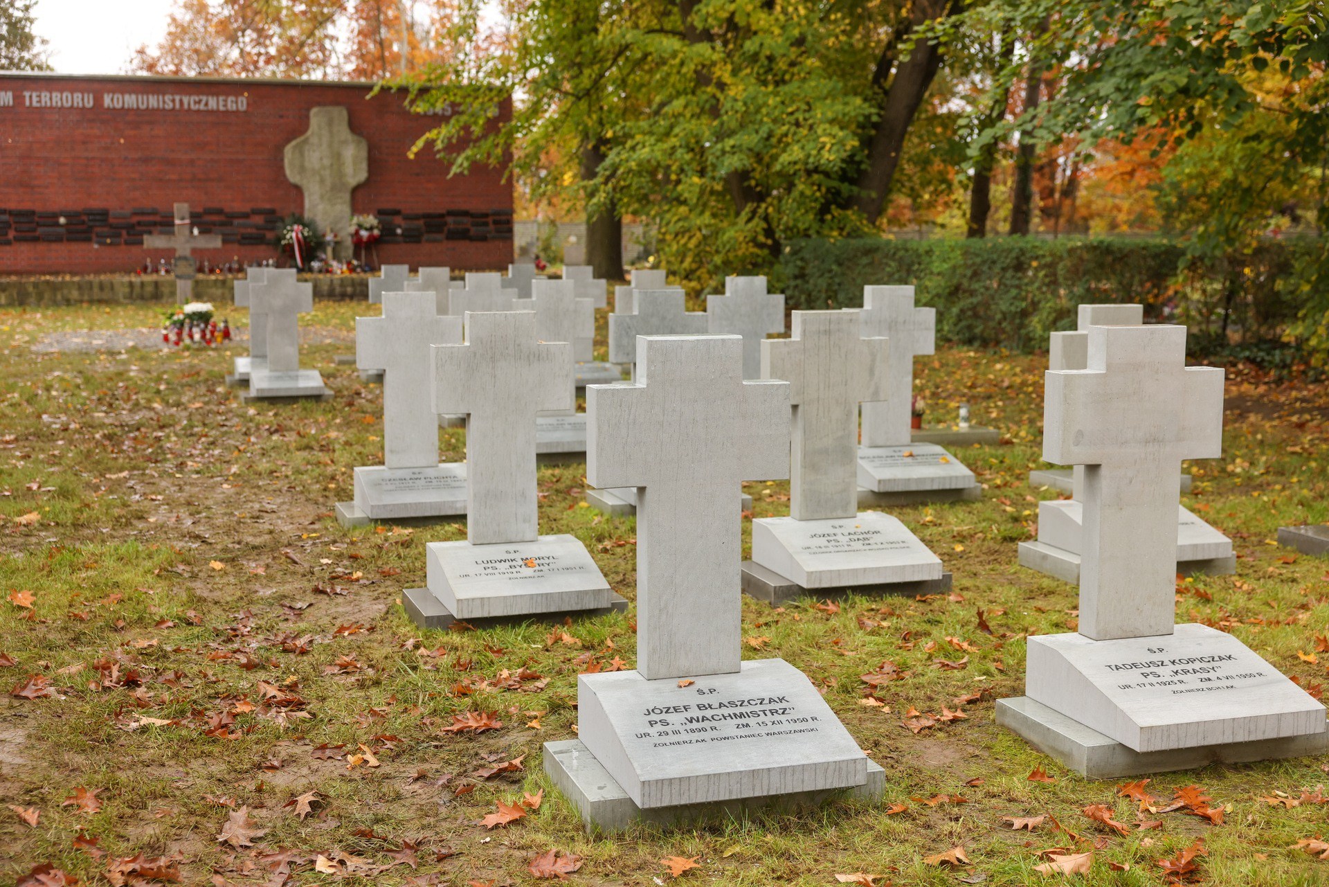 Godne pochówki dla bohaterów. Ekshumacje na wrocławskim cmentarzu