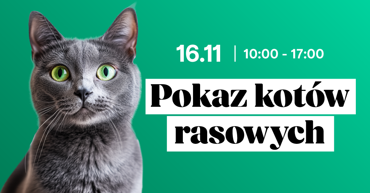 Pokaz Kotów Rasowych w Pasażu Grunwaldzkim