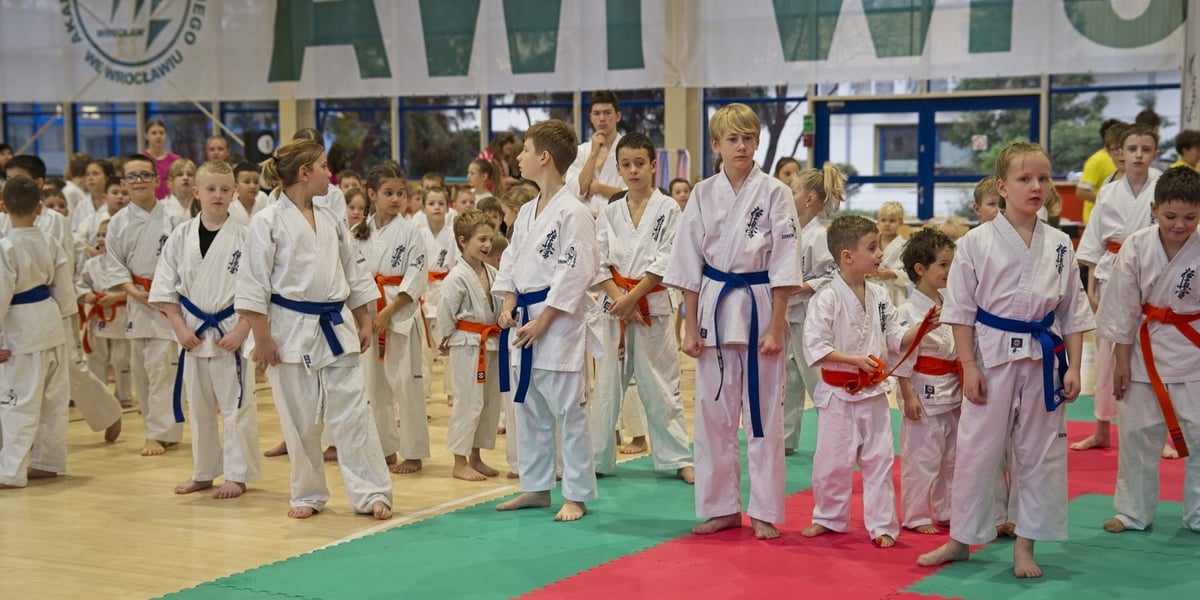 Wspólne Mikołajki na sportowo. Trening z Wrocławskim Klubem Karate ...