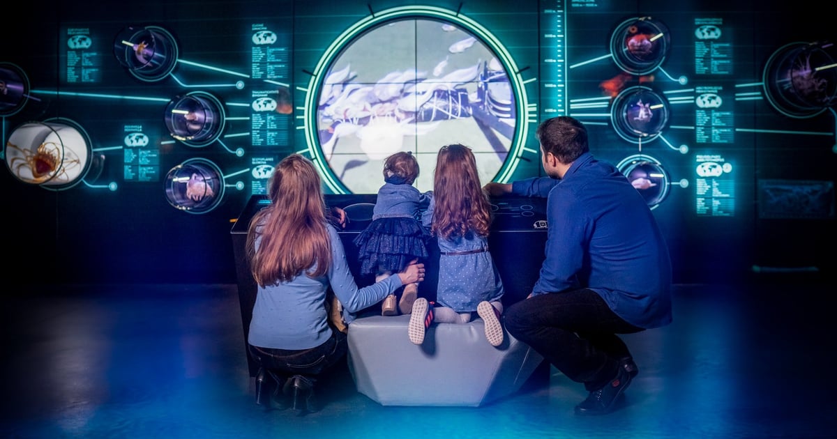 Hydropolis, atrakcja turystyczna Wrocławia, świętuje 7. urodziny