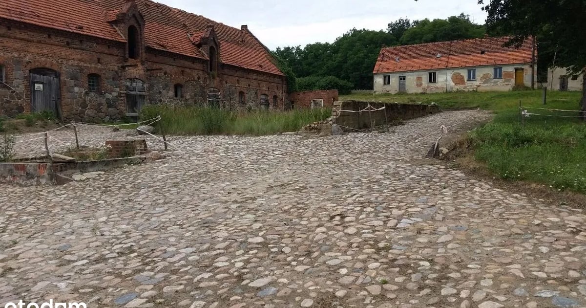Wyjątkowa posiadłość w Rogowie Wołowskim 3 500 000 zł