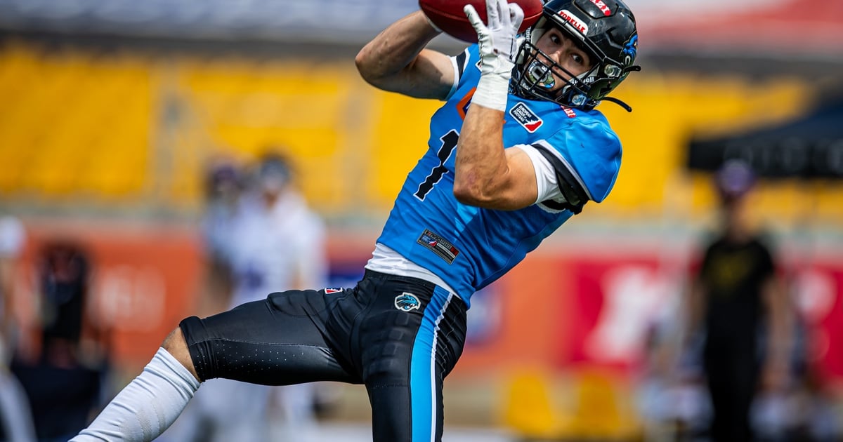Panthers Wrocław 2024. Kiedy mecze? Panthers Wrocław 2024. Kiedy mecze?