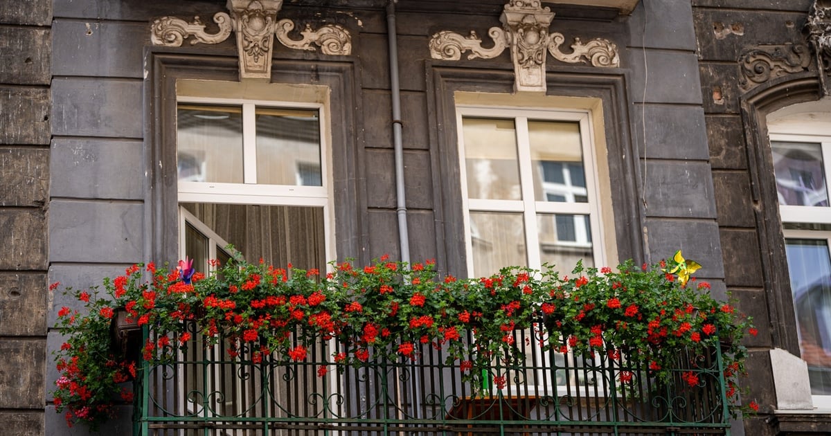 Wrocławski Ołbin ma prawdziwe perły architektury. Zobaczcie niesamowit ...