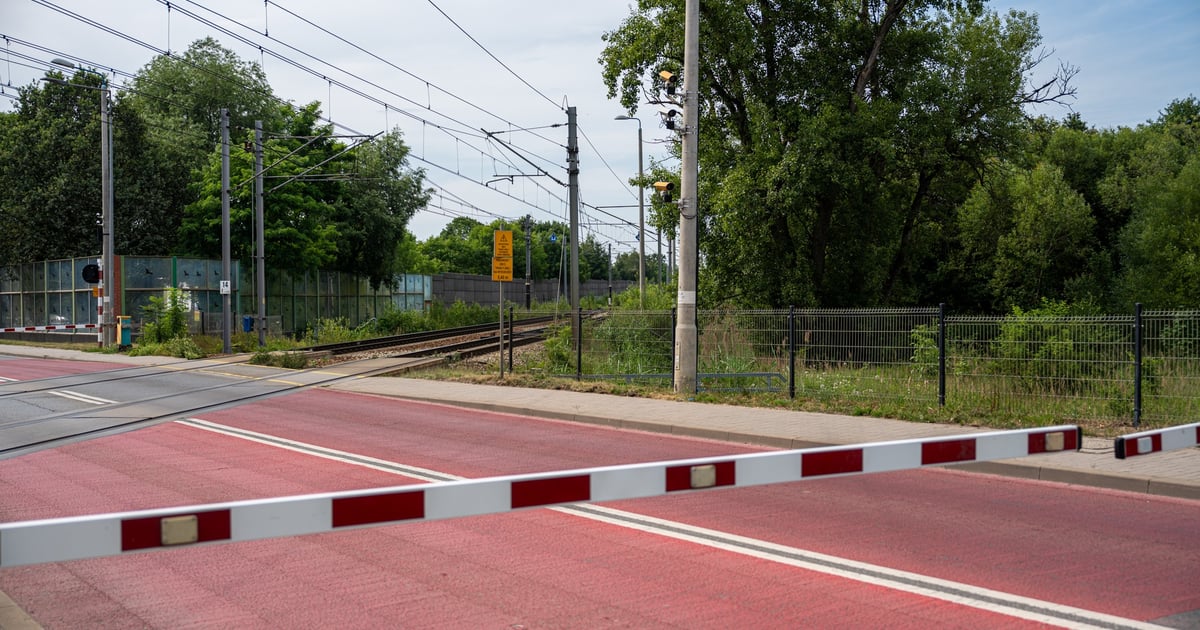 Żółte kamery, system RedLight CANRAD