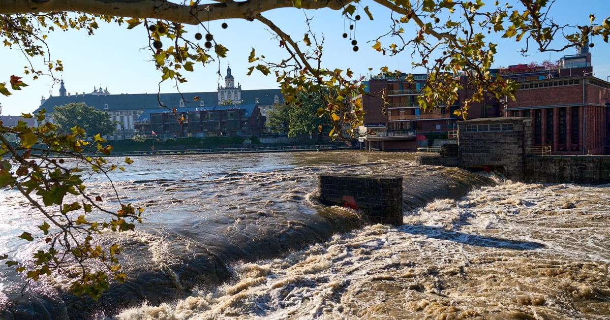 Odra na zdjęciach - rano 20 września. Jaki stan rzek?