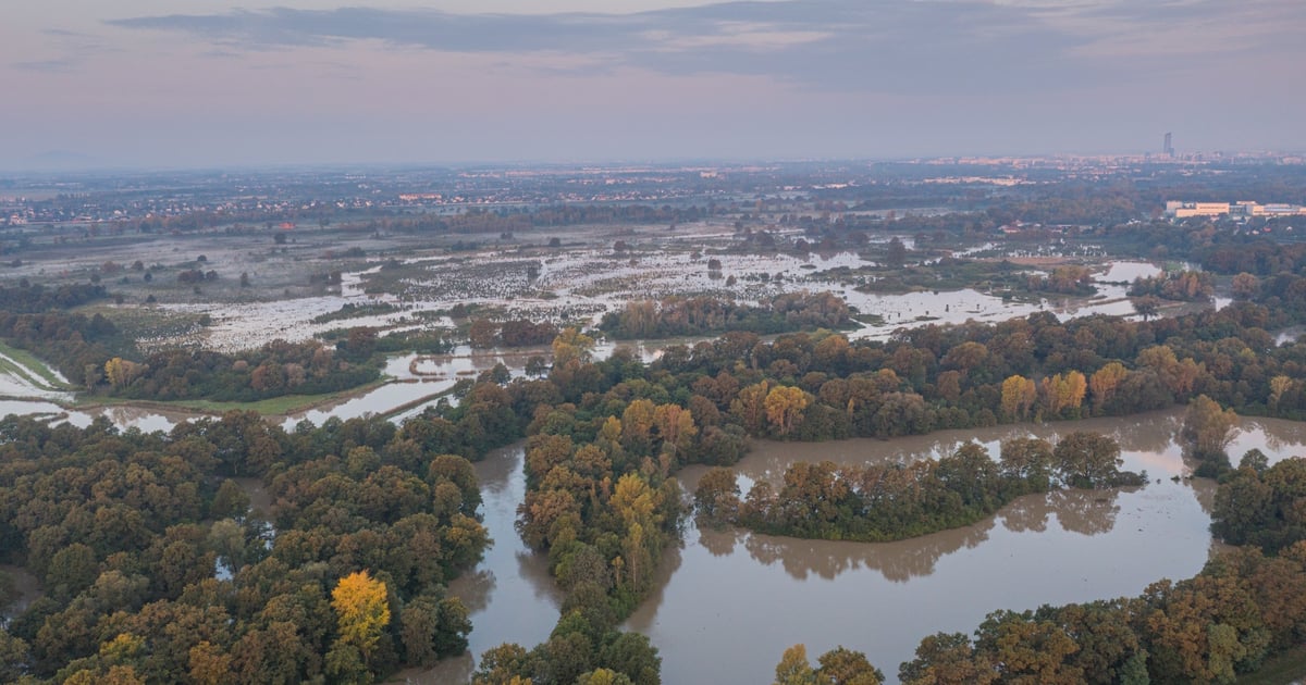 Aktualny stan rzek poza Wrocławiem. Odra, Bóbr, Kwisa, Barycz, Kaczawa ...