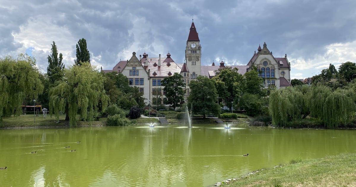 Oto TOP 15 miejsc we Wrocławiu, w których zrobisz piękne zdjęcia na ...
