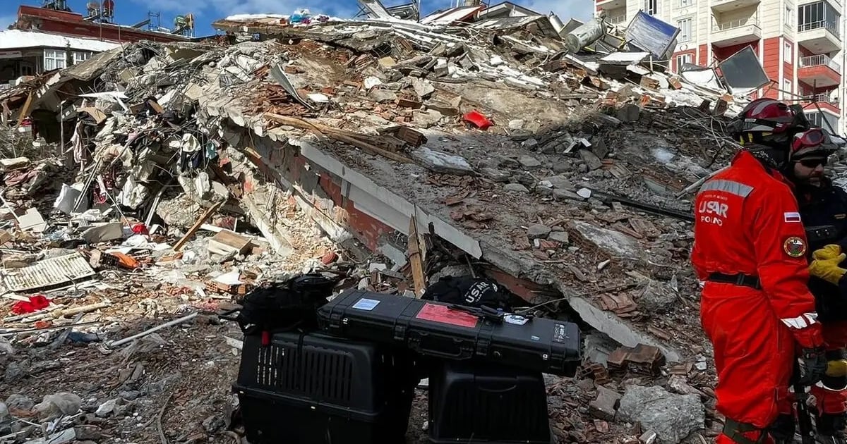 Gifts are collected to aid earthquake victims in Turkey. Where and what ...