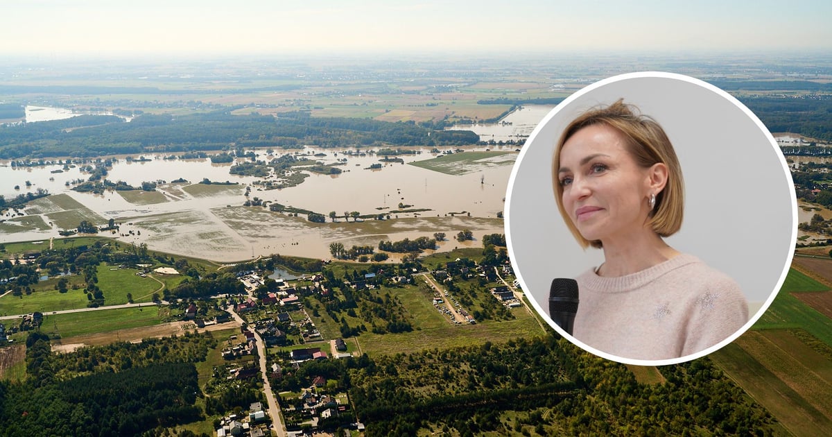 Piosenka „Moja i twoja nadzieja” w nowej wersji. Gwiazdy z pomocą powodzianom