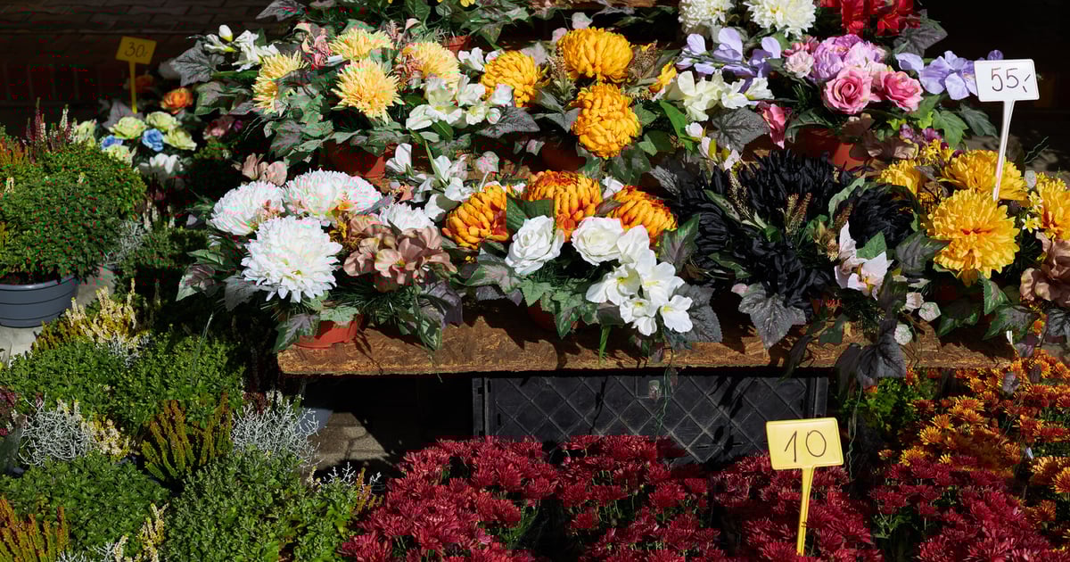 Ile kosztują znicze, chryzantemy i stroiki na stoiskach przed cmentarz... Zdjęcie 18/54