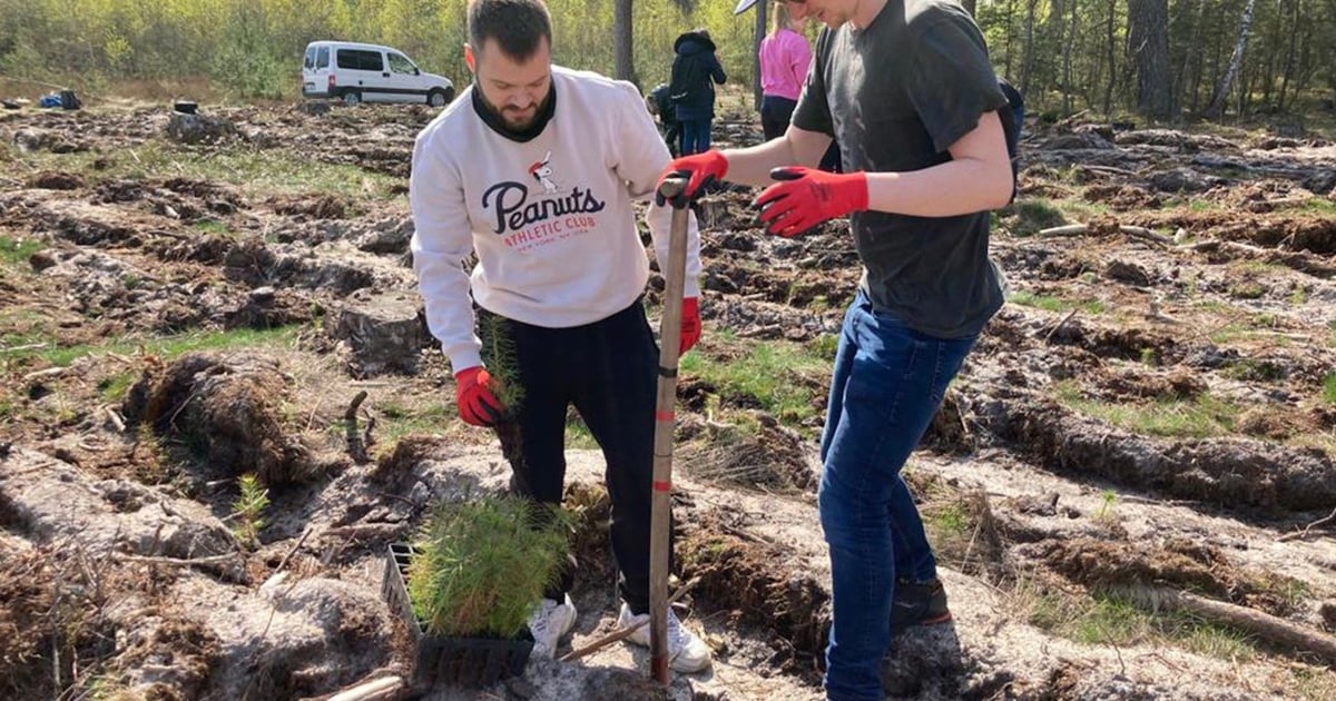Zazieleni się we Wrocławiu. Zasadzą 4 tysiące drzew i przygotują ekoogrody