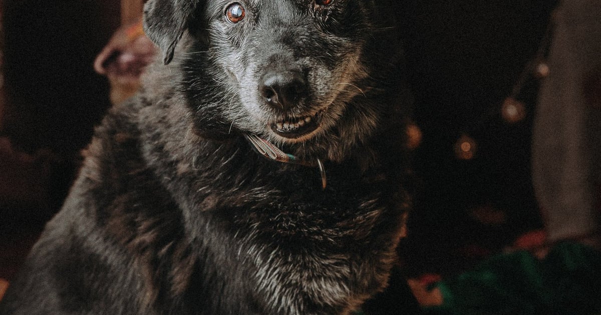 Berta: słodycz z charakterem