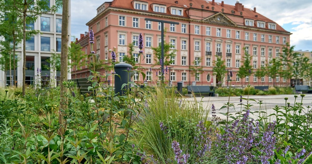 Plac Nowy Targ nominowany w plebiscycie Polski Krajobraz