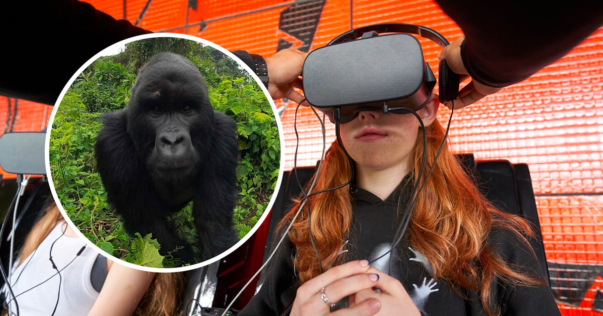Największe w Europie kino VR już działa w zoo we Wrocławiu [CENNIK]