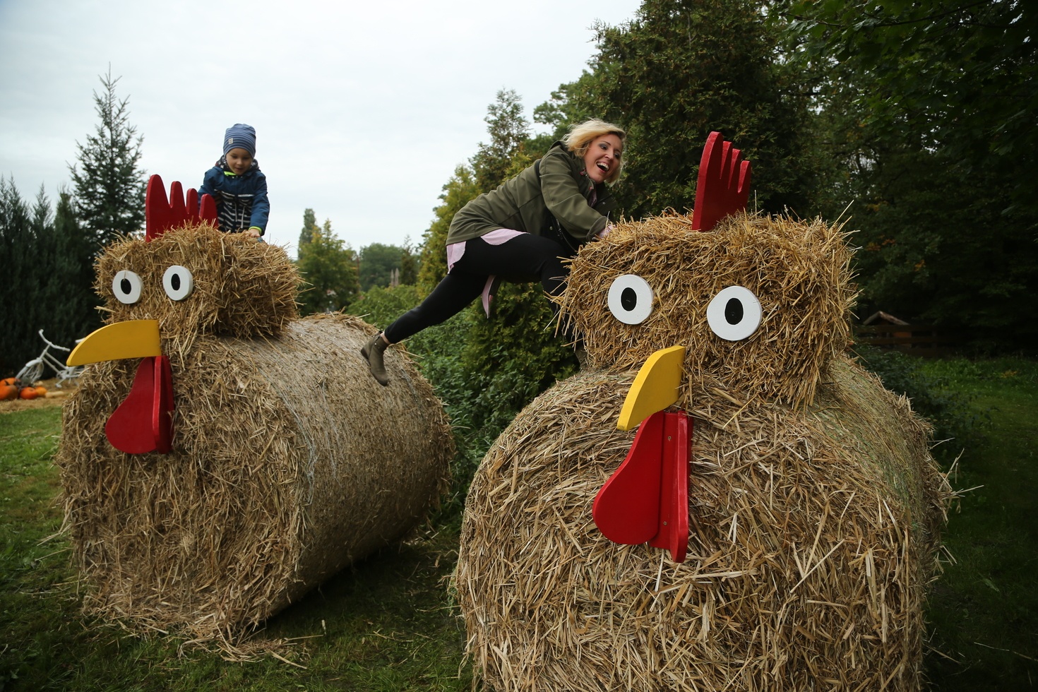 Dyniowe szaleństwo na dyniowej farmie we Wrocławiu. Atrakcje w plenerze ...
