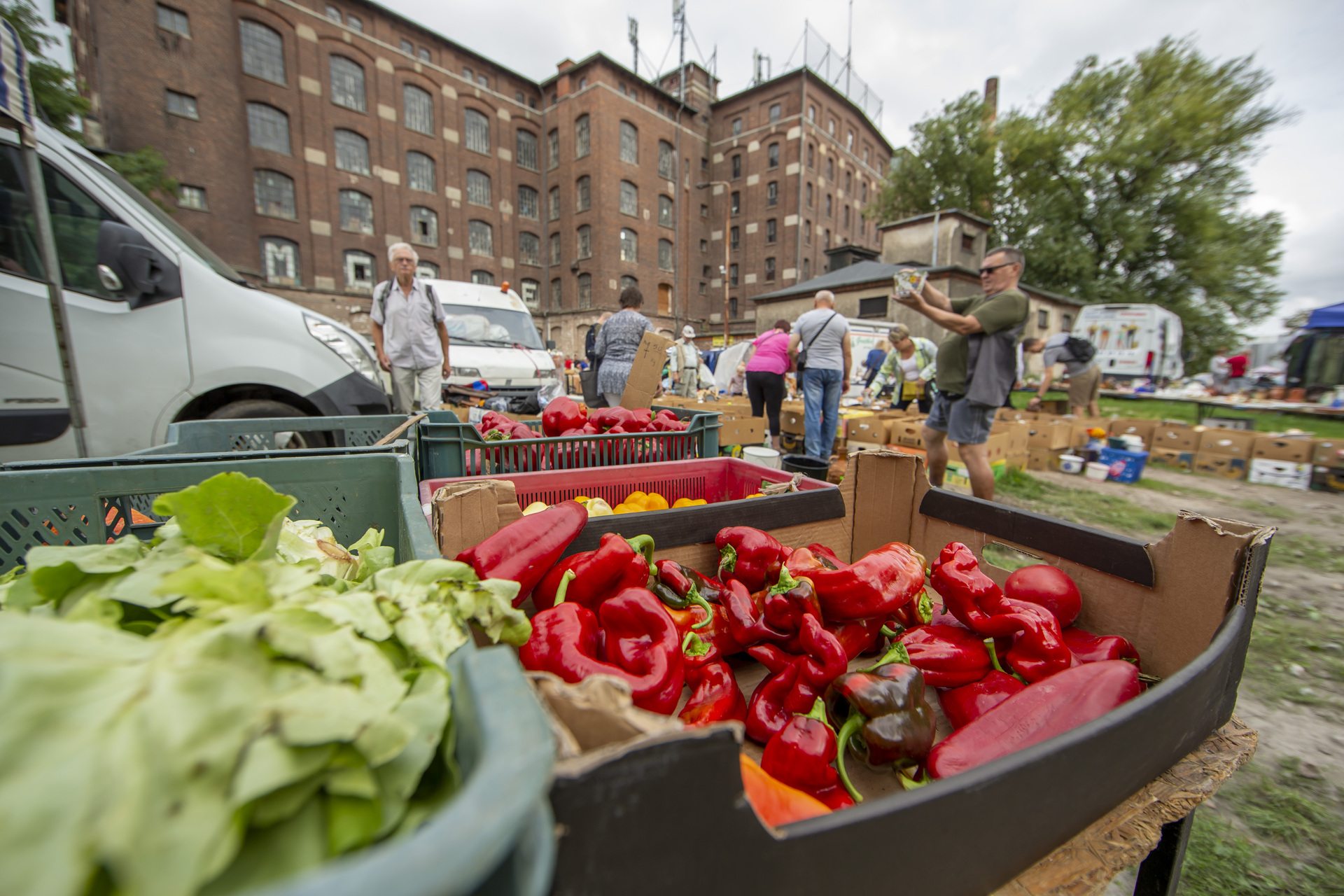 Giełda Staroci i Pchli Targ, czyli raj dla poszukiwaczy niezwykłych pr ...