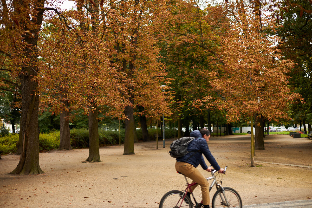 Zaczyna się jesień. Nadchodzą chłodniejsze i krótsze dni. Liście na ...