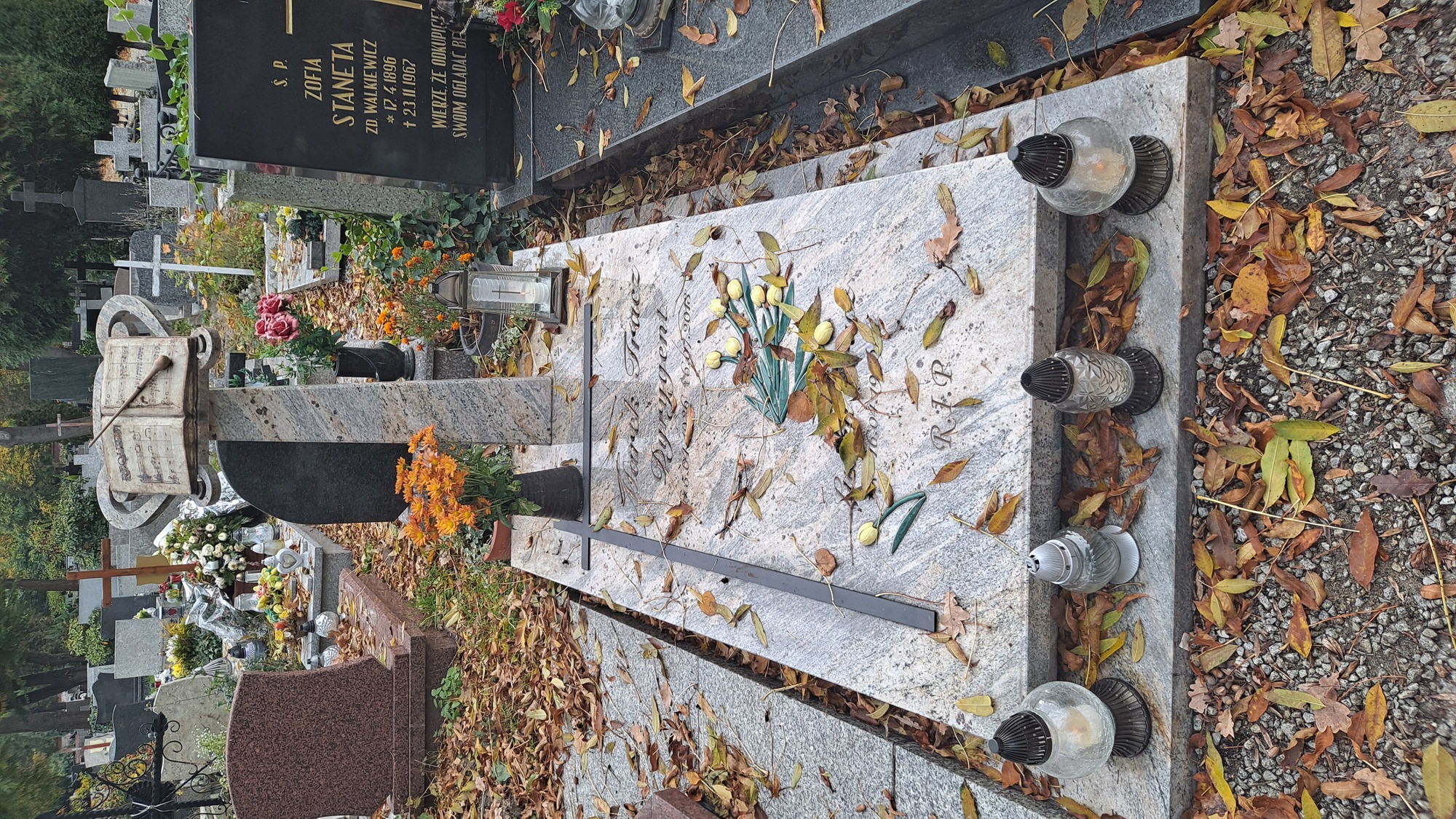 Na których cmentarzach we Wrocławiu spoc... Galeria zdjęć 20/51