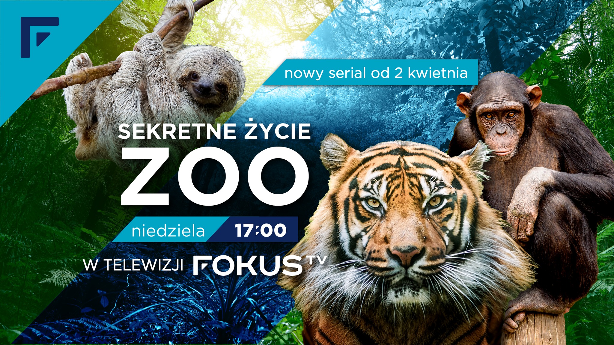 Sekretne życie ZOO. Zobacz fascynujący serial dokumentalny o ...