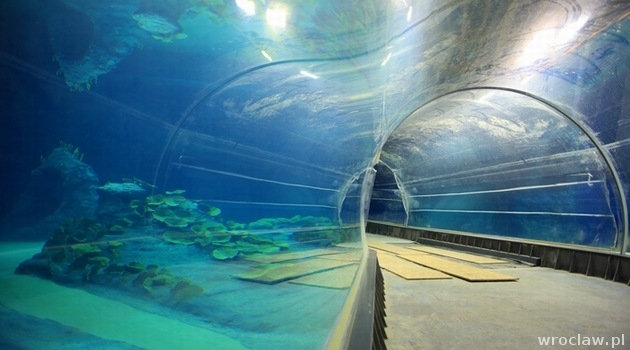 Africarium-Oceanarium: new arrivals | www.wroclaw.pl