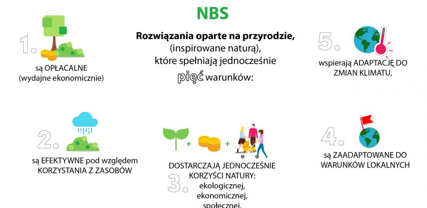 Nature Based Solutions (NBS) – co to takiego? | Grow Green