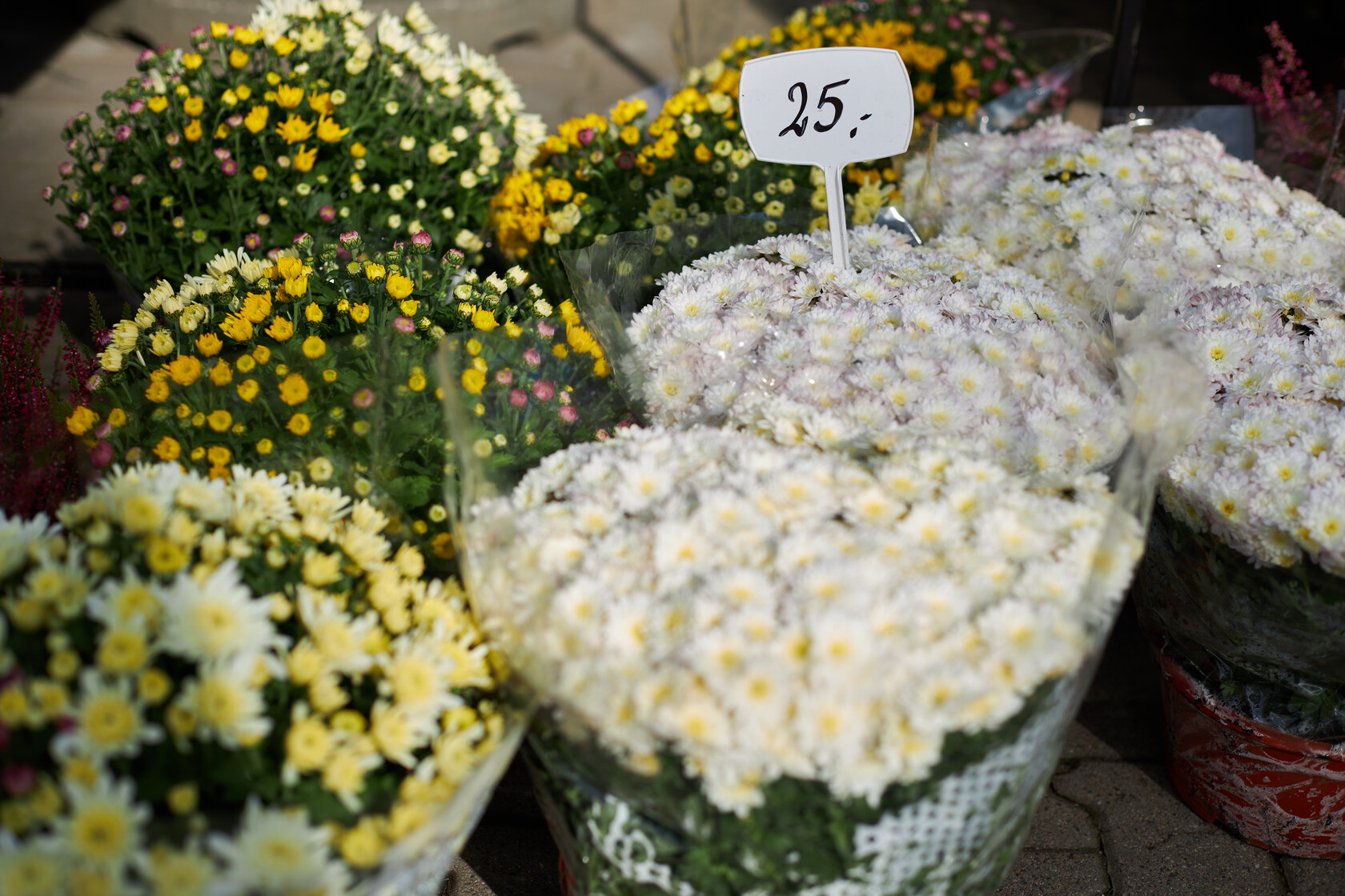 Ile kosztują znicze, chryzantemy i stroi... Galeria zdjęć 47/54