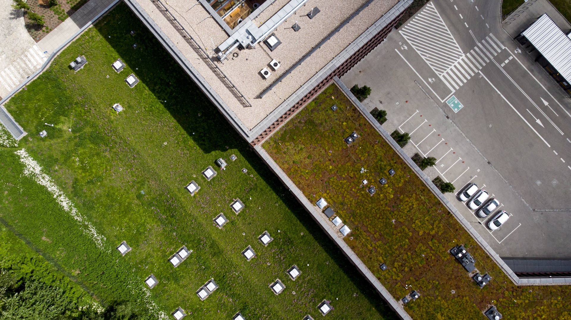 W trosce o klimat. Polityka Gospodarowania Wodami Opadowymi we Wrocławiu