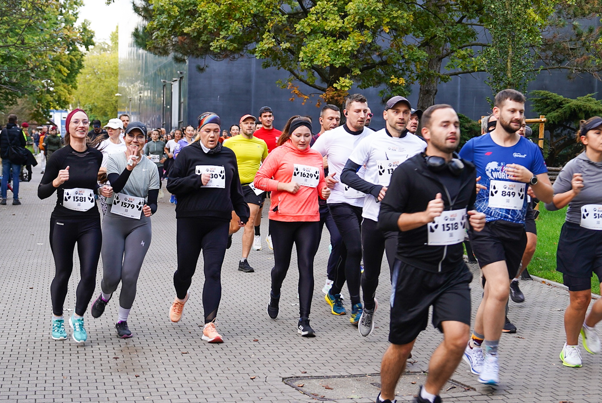 Wild Run 2025. Mamy zdjęcia z biegu w zoo